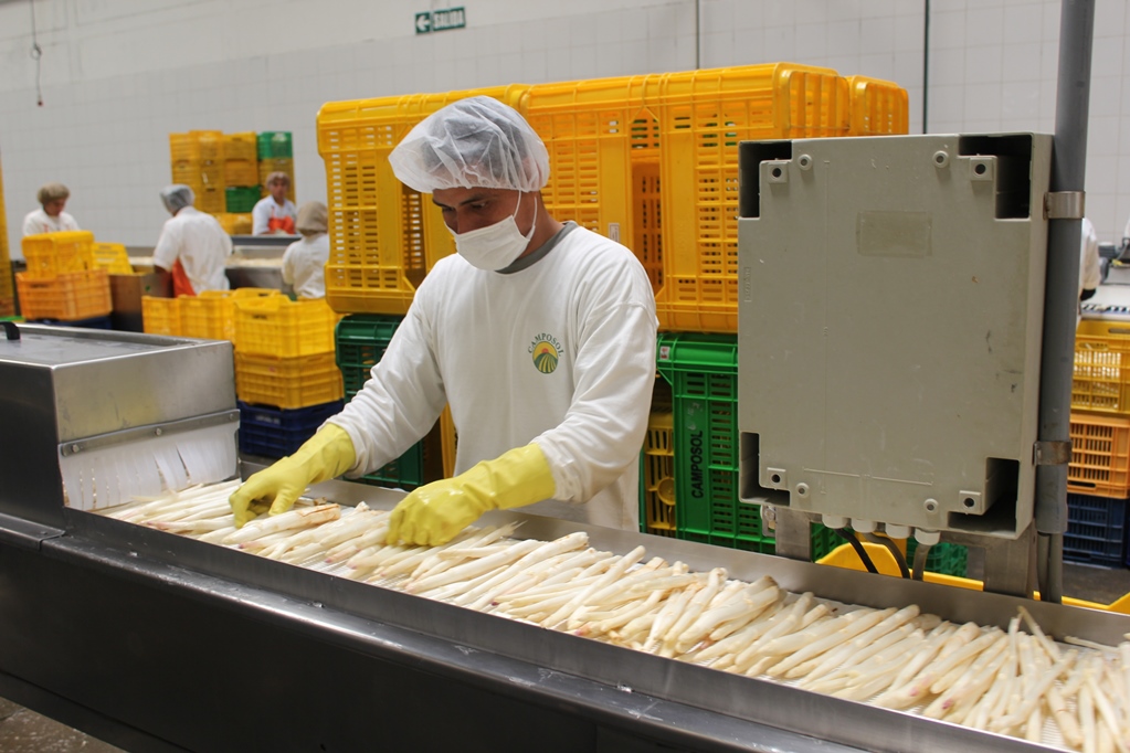 DEMANDA DE FRUTAS Y HORTALIZAS CONGELADAS REPRESENTA OPORTUNIDAD PARA PERÚ » BHTV